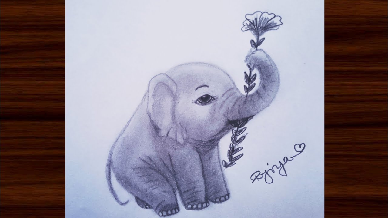 Cute Baby Elephant Drawing
