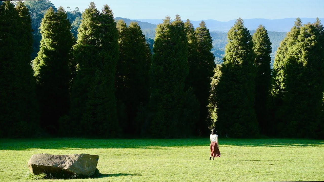Mount Dandenong Trip 🚗 | Woolrich Lookout🌲 & Alowyn Gardens🌸 ...