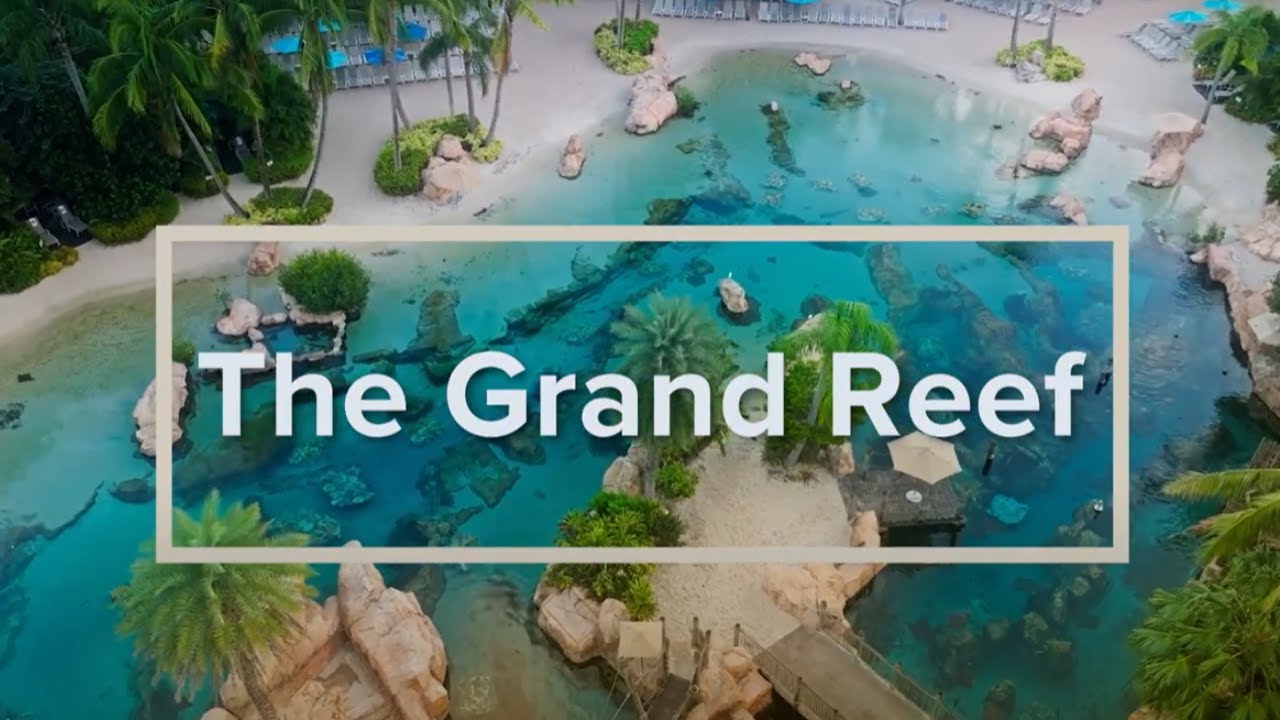The Grand Reef - Discovery Cove - YouTube