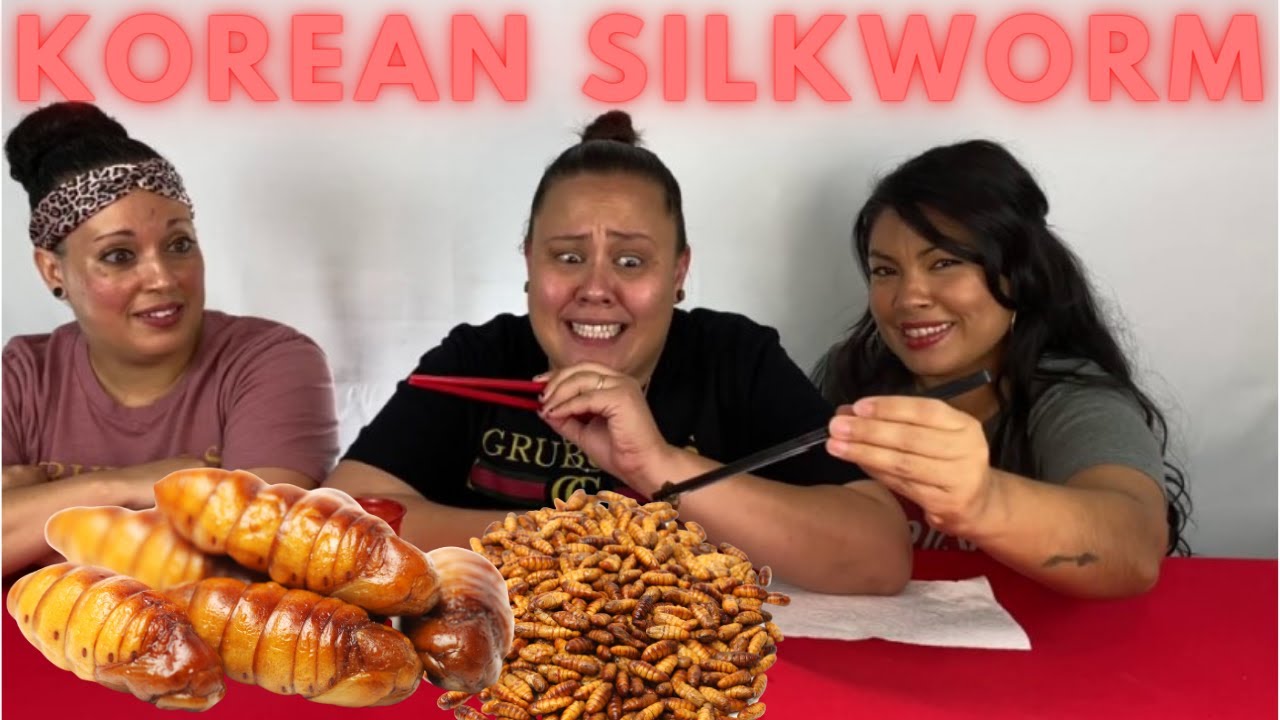 KOREAN SILKWORM PUPA | SILKWORM PUPA | BEONDEGI - YouTube