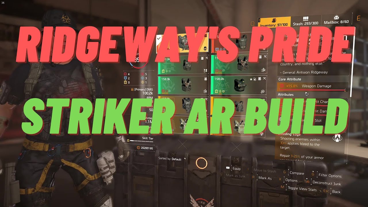 THE DIVISION 2- RIDGEWAY'S PRIDE STRIKER AR BUILD - YouTube