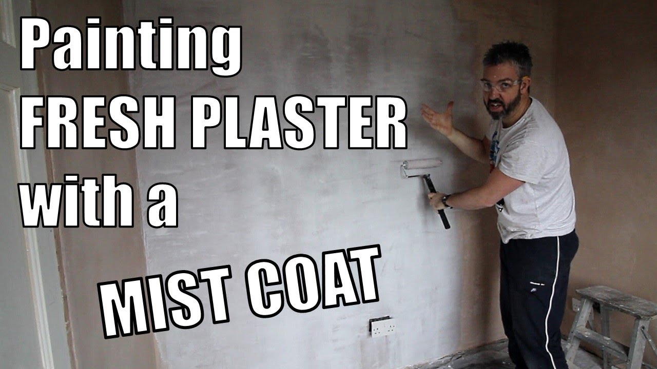 How To Mist Coat Plaster How To Paint Fresh Plaster The Right Way