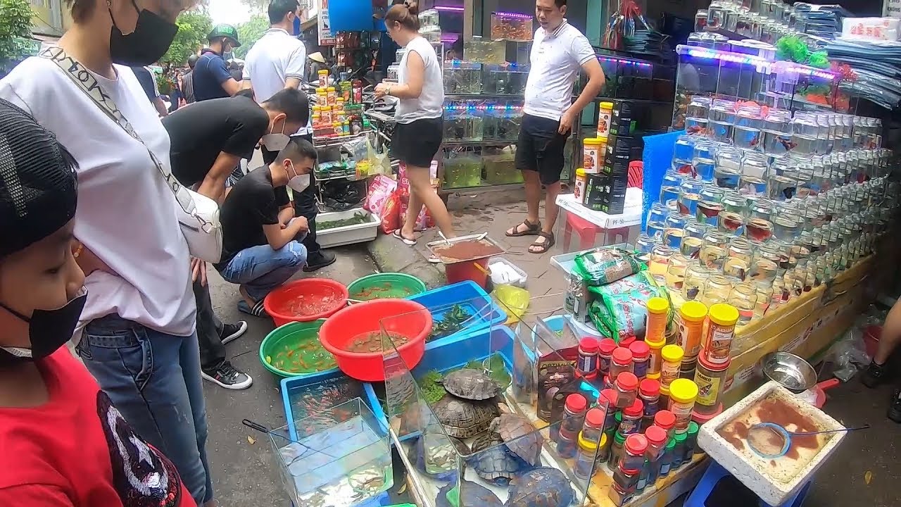 Exploring the Most Beautiful Outdoor Fish Market - Street Fish Market ...