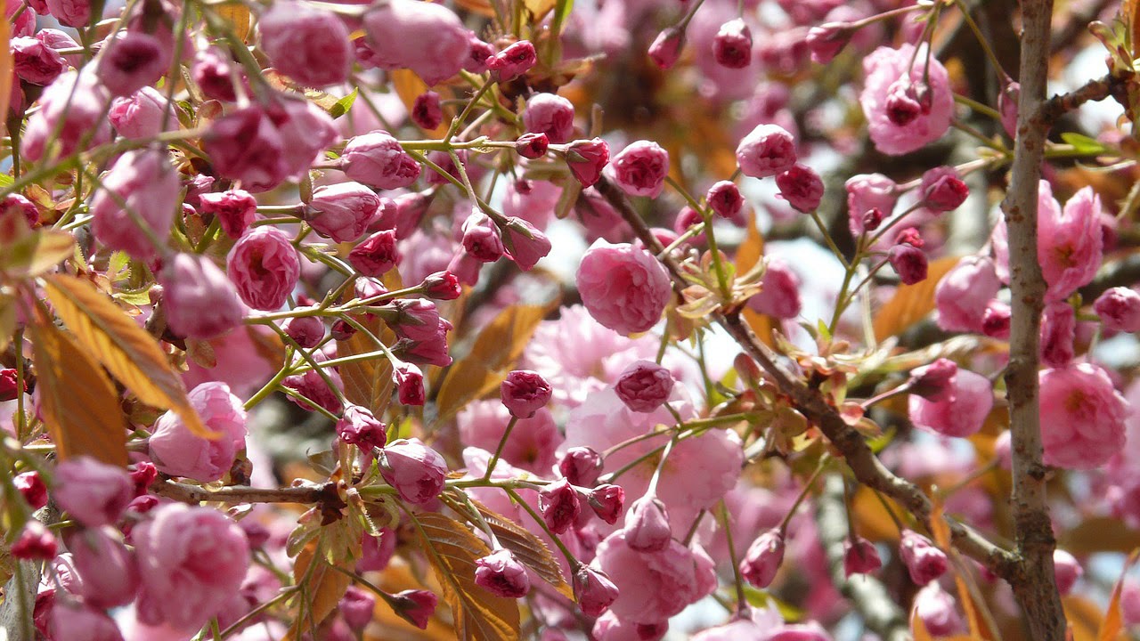 Best Heaven - Chilling Trap Music - YouTube