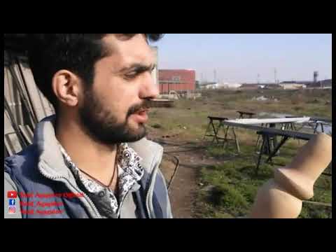 So Biznes Reyalliqi