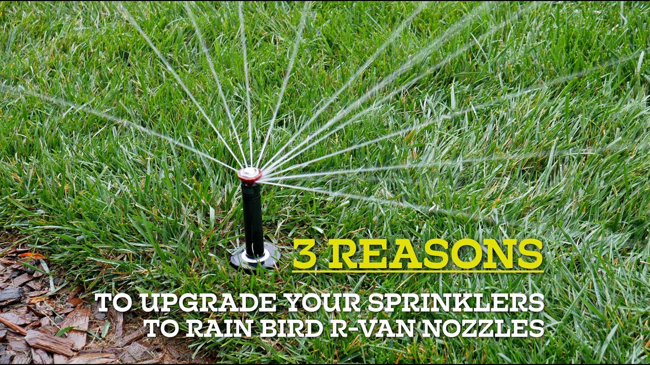 Rain Bird Rotary Sprinklers Rain Bird RVAN PRO 12SARVAPRO Mini Rotor