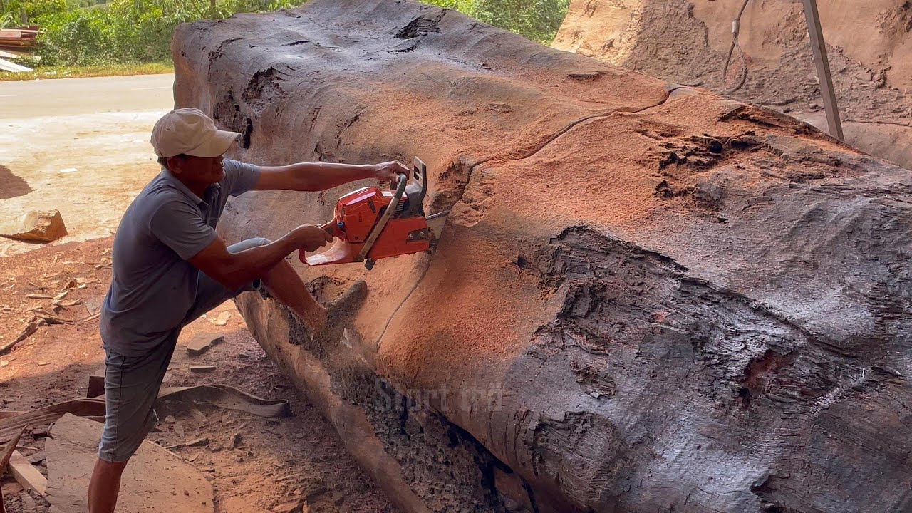 High Power Wood Saw, Absolute Power, Amazing Performance #48 - YouTube