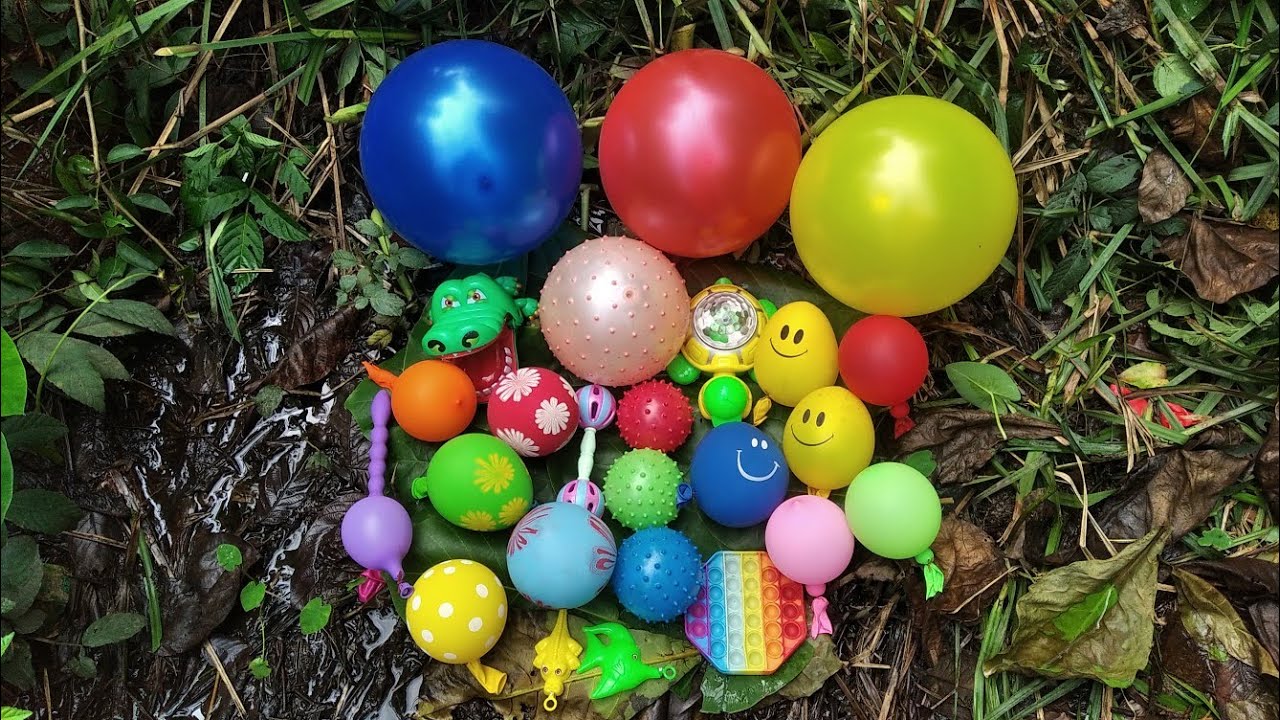 meletuskan balon warna warni, balon karakter, balon ku ada lima, balon ...