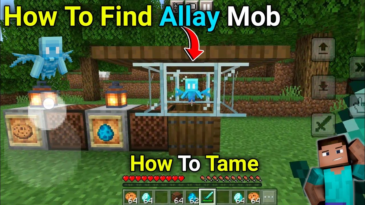 How To Find Allay Mob In Minecraft Pe | Finding Allay Mob In Minecraft ...