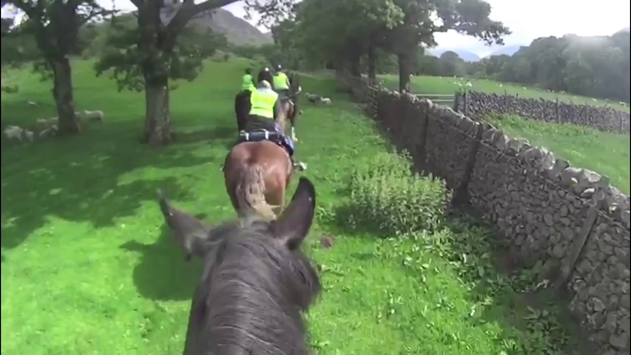 Cumbrian Heavy Horses 3 Day Ride - YouTube