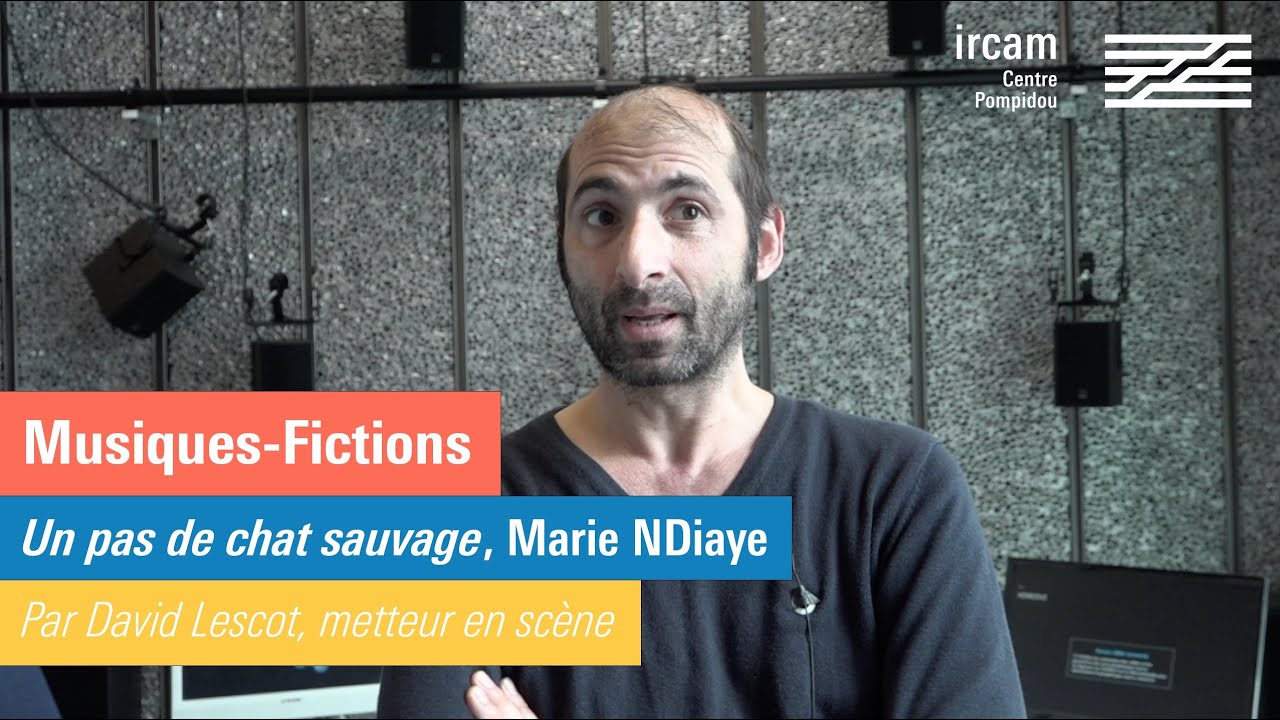 Musiques-Fictions : Un pas de chat sauvage par David Lescot, metteur en ...