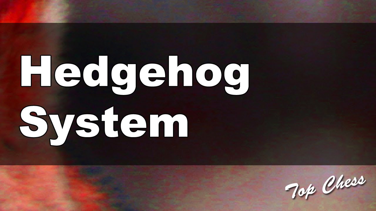 Chess Online - English, symmetrical, hedgehog system - YouTube