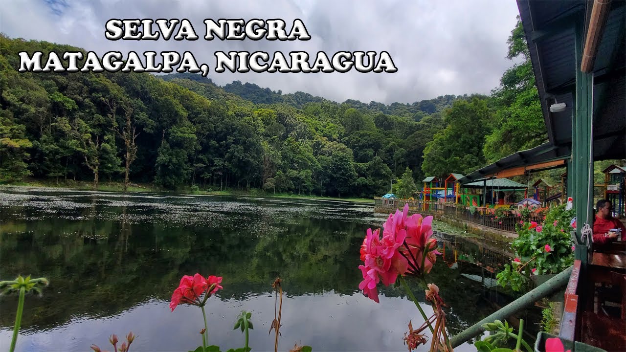 "SELVA NEGRA" must visit in NICARAGUA | NICARAGUA LIVING - YouTube