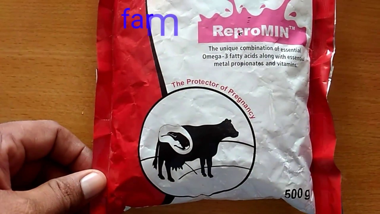 इस एक पाउडर से आपका पशु आएगा हीट में repro min dry - YouTube