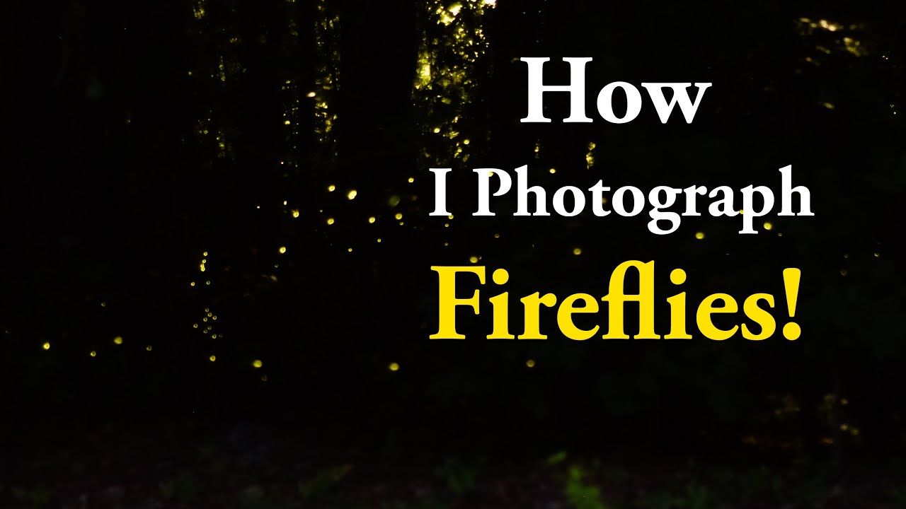 HOW I Photograph Fireflies In The Southern Appalachians! - YouTube