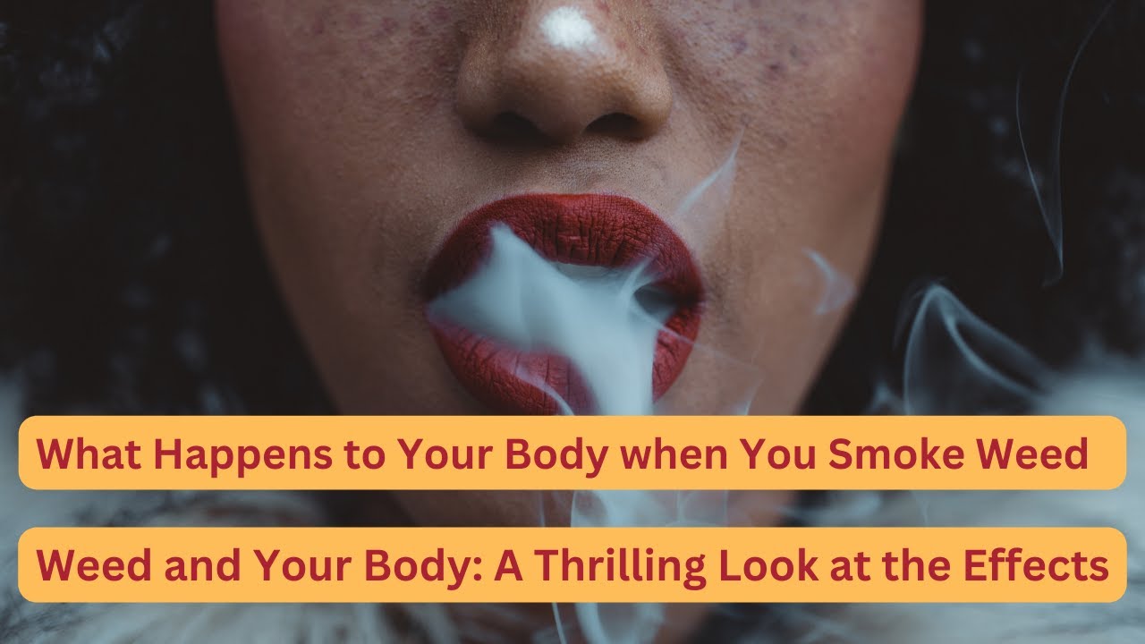 What Happens to Your Body when You Smoke Weed | Weed and Your Body: A ...