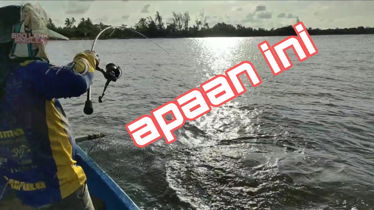 KAKAP @ SIAKAP @ SELUNSUNG @ ASEW - YouTube