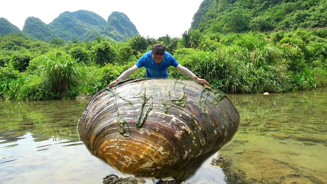 The mysterious boy was horrified to discover a huge clam, and the ...