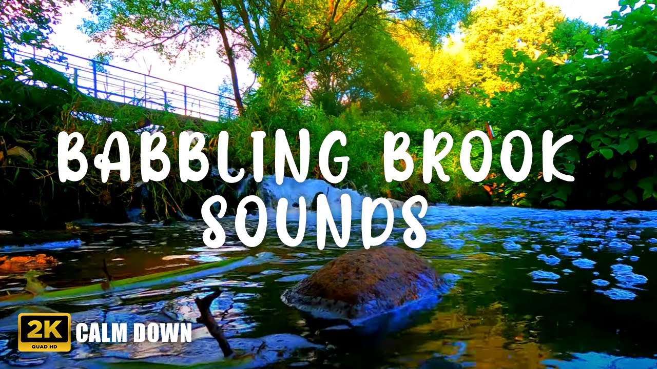 The Soft Sound Of Brook On A Quiet Place | Nature Sounds | For Better ...