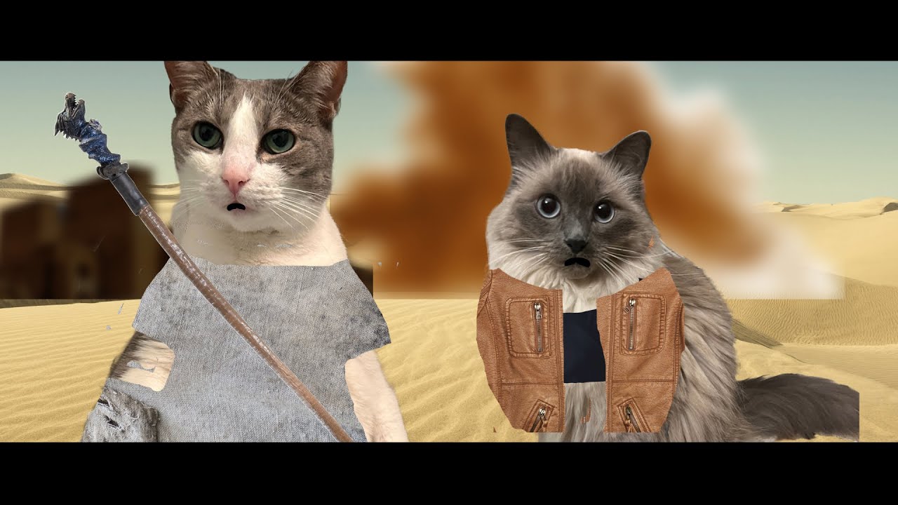 Paw Wars - The Force Awakens - YouTube