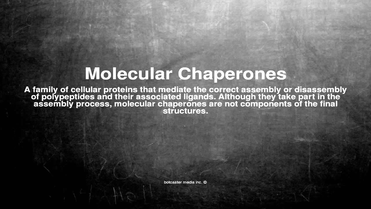 Medical Vocabulary What Does Molecular Chaperones Mean YouTube medical-vocabulary-what-does-molecular-chaperones-mean-youtube