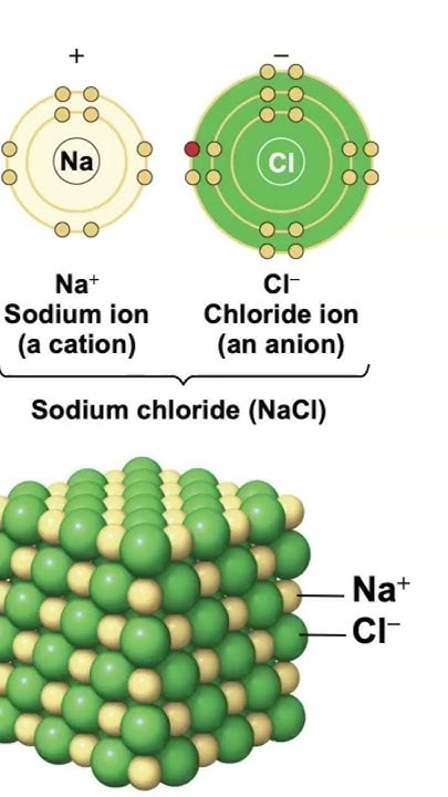 Ionic Compounds: Salts 101. See full lecture! #chemistry #biology - YouTube