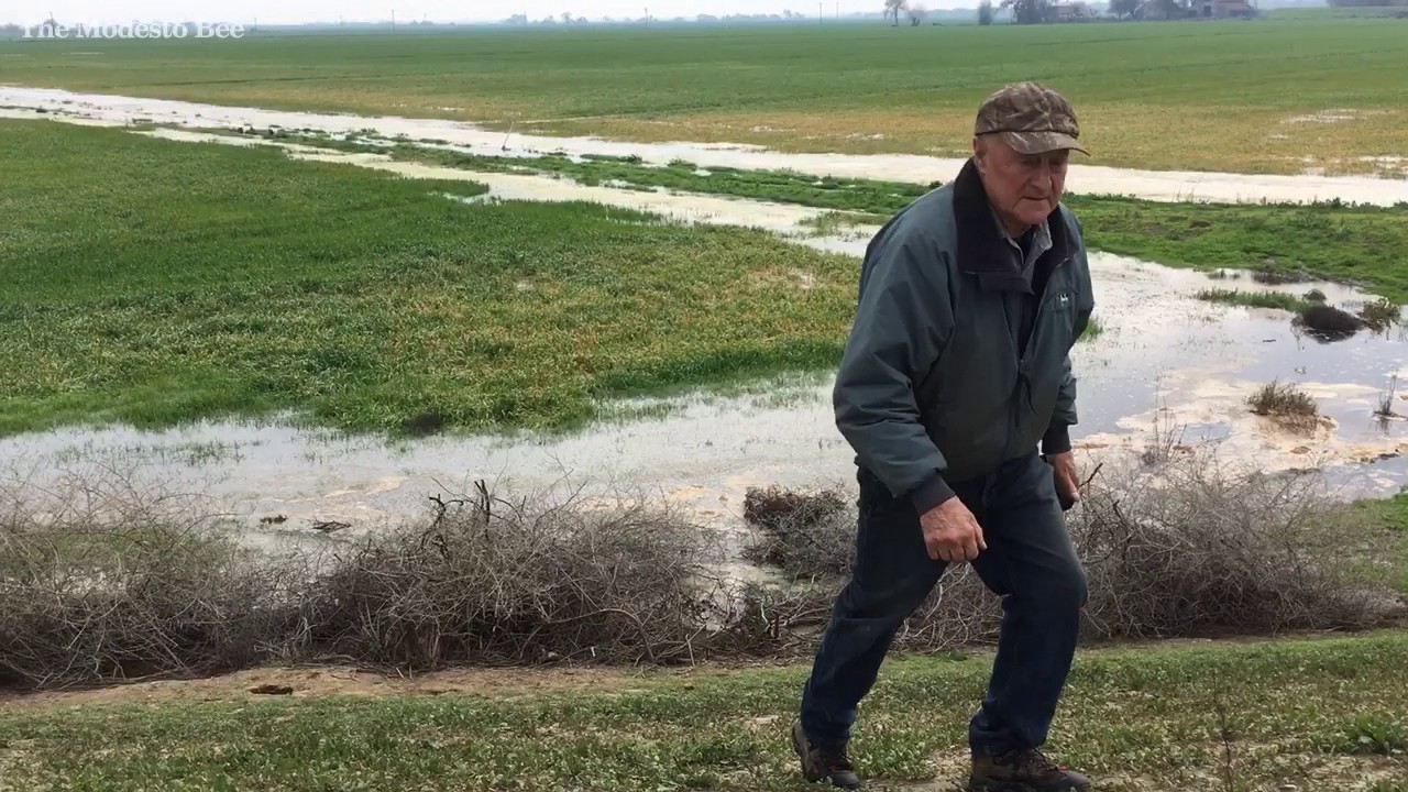 Dairy farmer keeps watch on levee near Crows Landing - YouTube