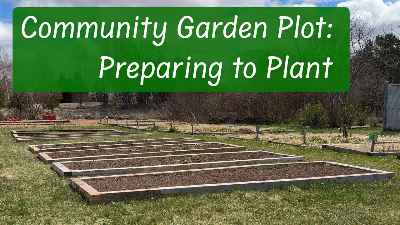 No-Till Gardening Basics: Preparing Your Community Garden Plot - YouTube