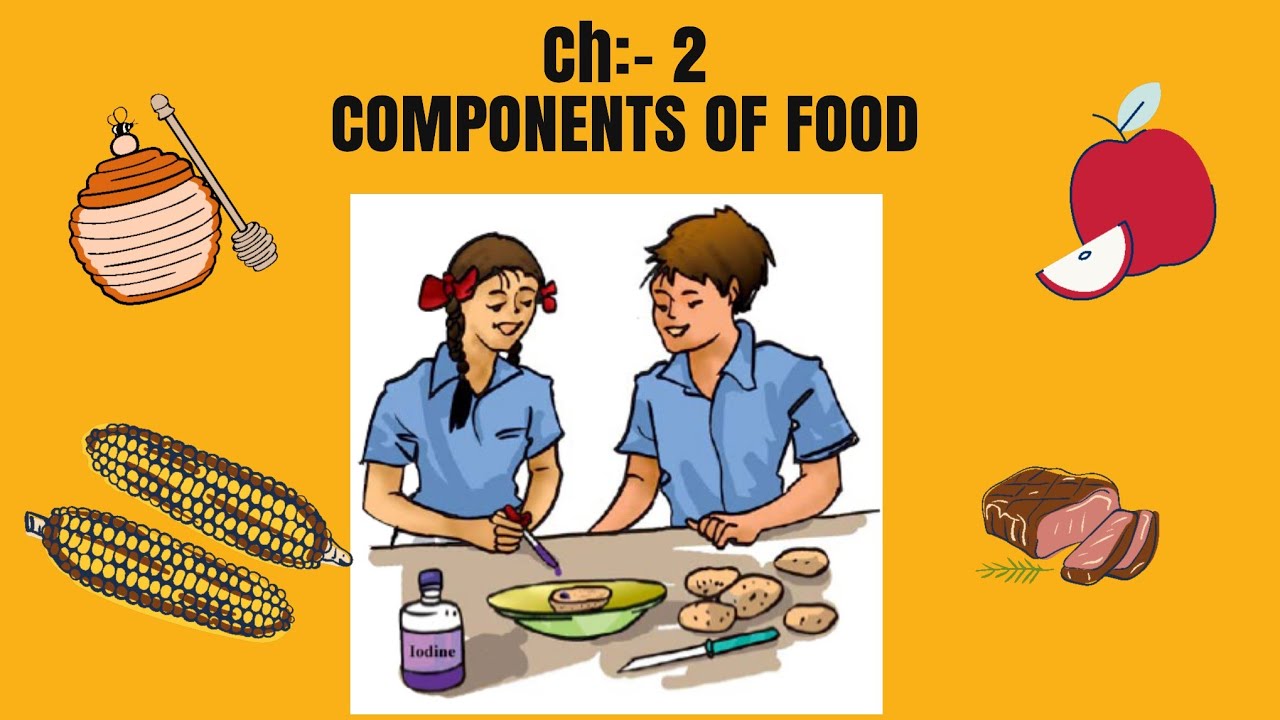 Grade 6 science revision vedio of chapter 2 components of food - YouTube