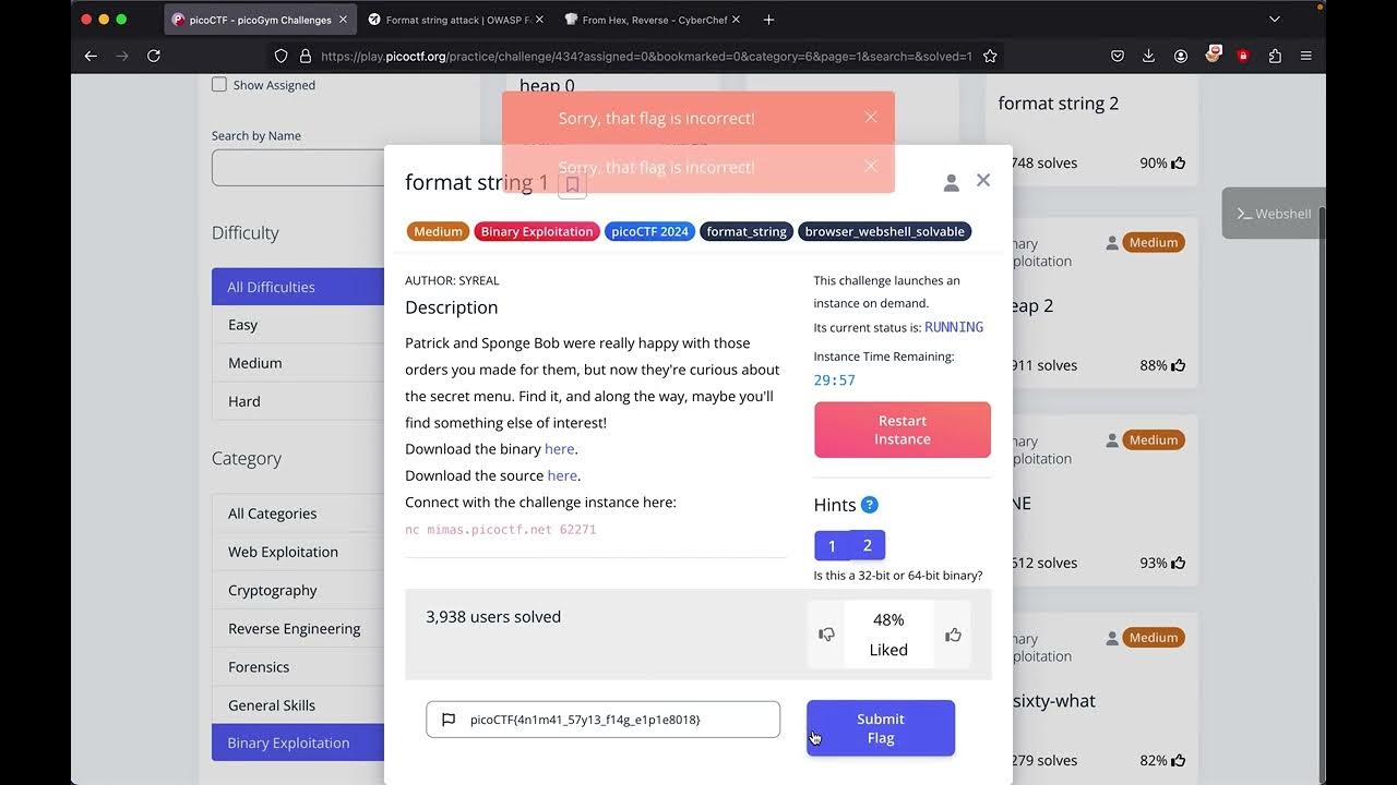 PicoCTF format string 1 - YouTube