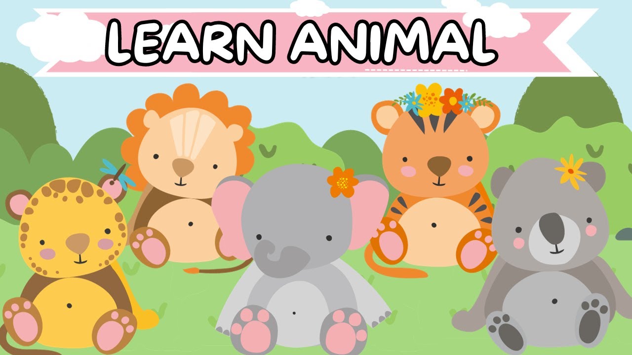 Animals for Kids - Fun Animal Facts Kids - Animal Education Learning ...