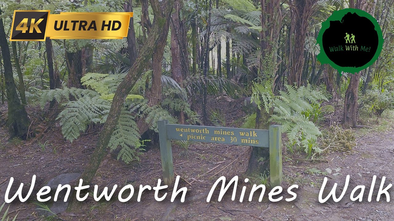 Wentworth Valley Mines Walk, Whangamata, New Zealand. View the hike to two mines. #walking #mine ...