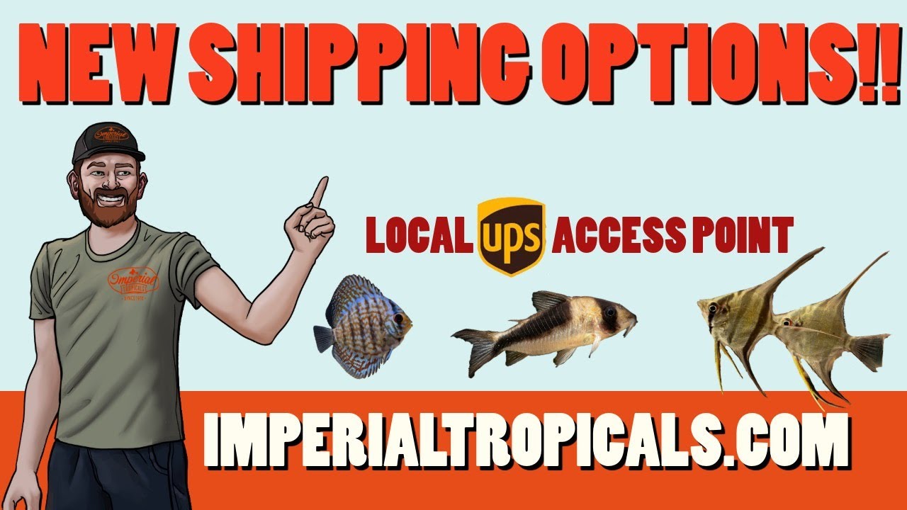 NEW SHIPPING OPTION!! This allows you to have your packages shipped to ...