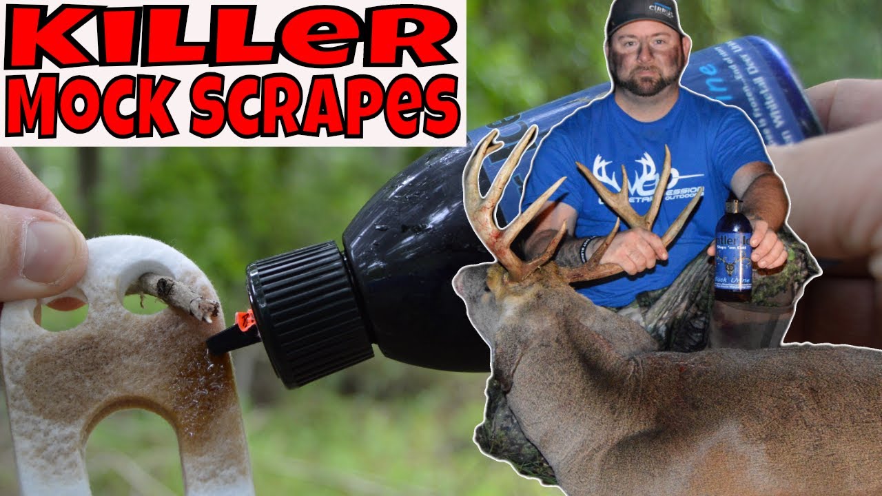 Deer Hunting Mock Scrapes | Creating Better Deer Hunting (BUCK KILL ...