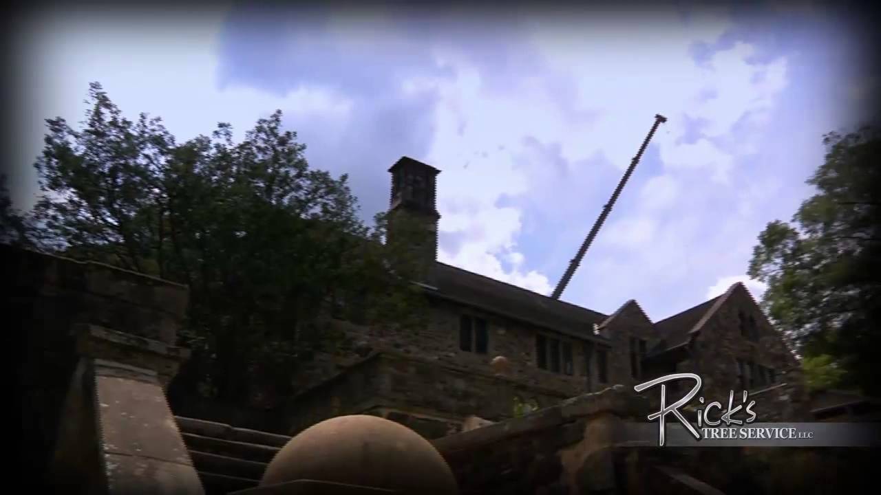 This video shows a quick overview of all Rick's Tree Service has to ...