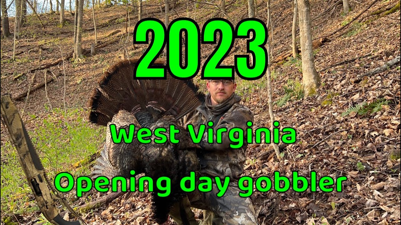 West Virginia Turkey Hunt - YouTube