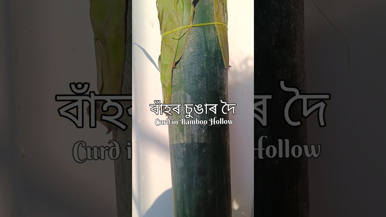 Curd set in Bamboo Hollow #assameserecipes #bihudelicacies #bhogalibihu ...
