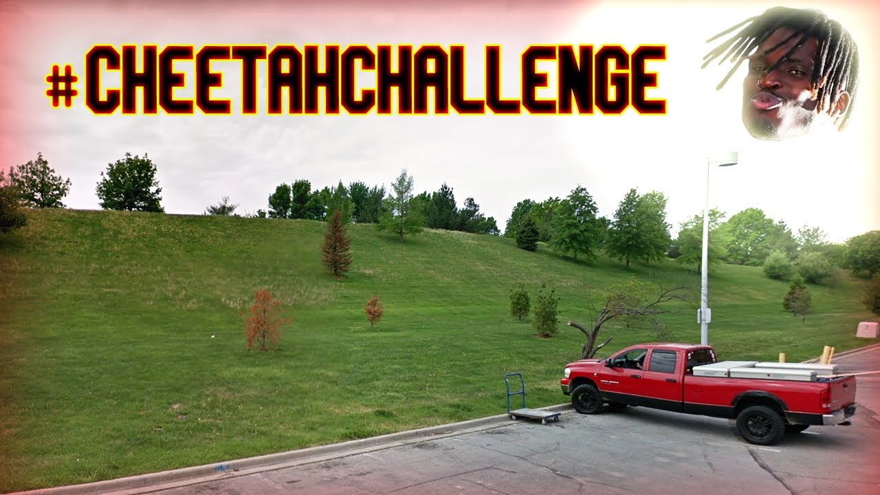 THE CHEETAH CHALLENGE - YouTube