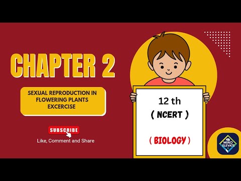 Sexual Reproduction in Flowering Plants | Class 12 Biology Chapter 2 ...