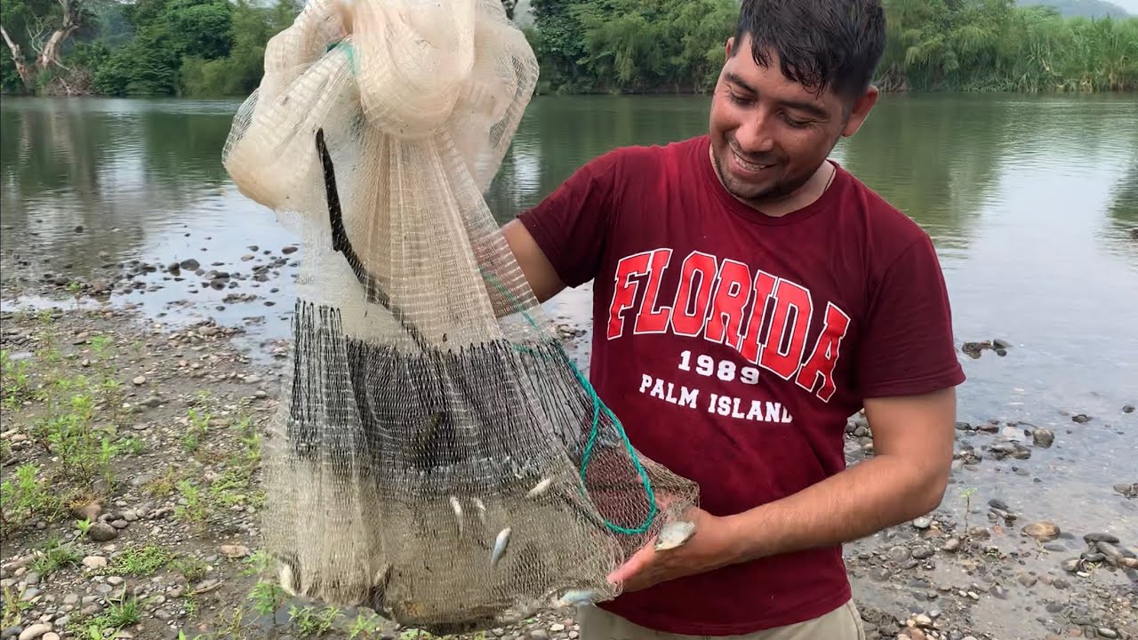 Sale llena la atarraya de todas las especies de pescado - YouTube