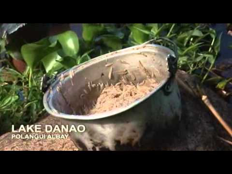 POLANGUI ALBAY - Philippines - YouTube