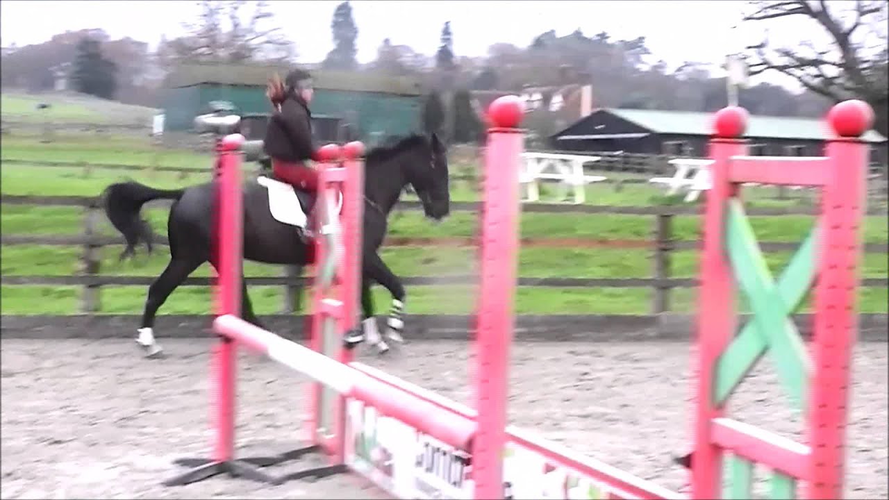 For Sale; What A Cedilla - YouTube