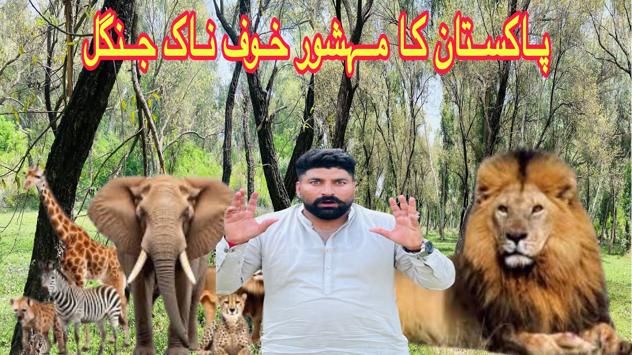 Pakistan ka mashoor kofnaak jangal 😳☠️ ⁠ ⁠@rajabbutt94 ⁠ ⁠@Desivlog1512 ...