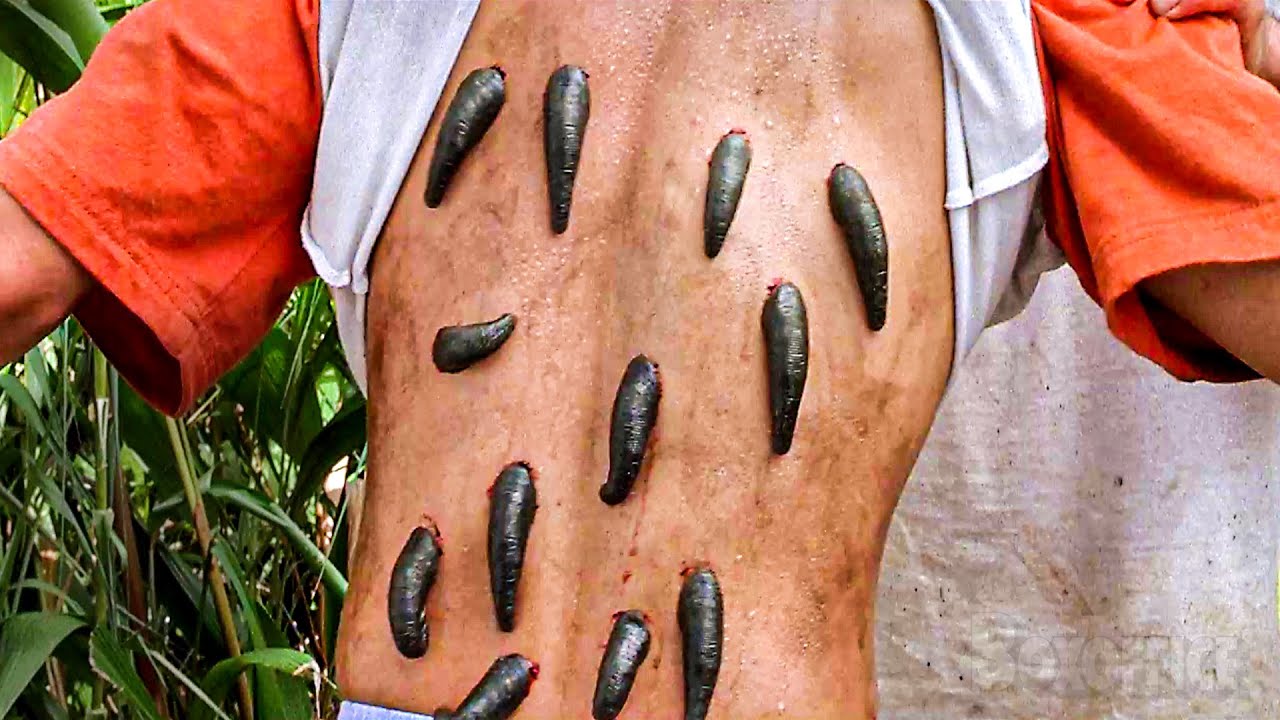 Leeches suck him dry | Anacondas: The Hunt for the Blood Orchid | CLIP ...