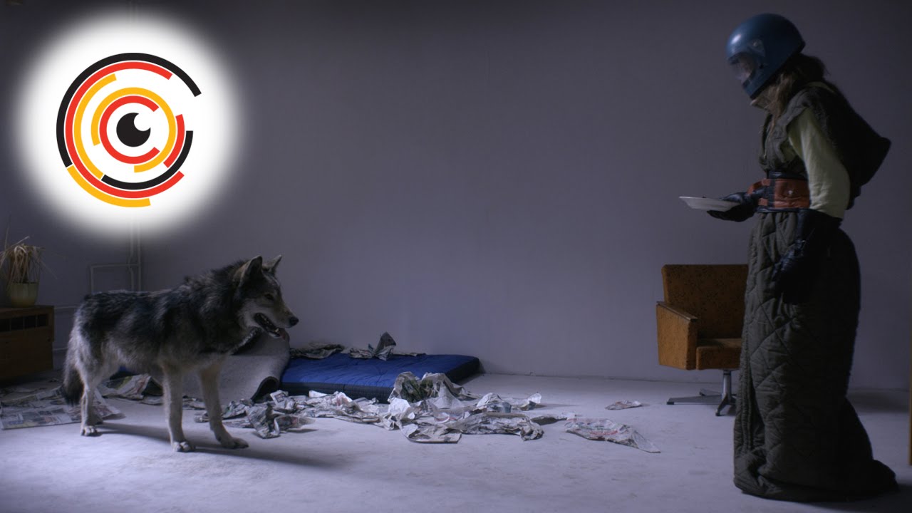 WILD OFFICIAL TRAILER - YouTube