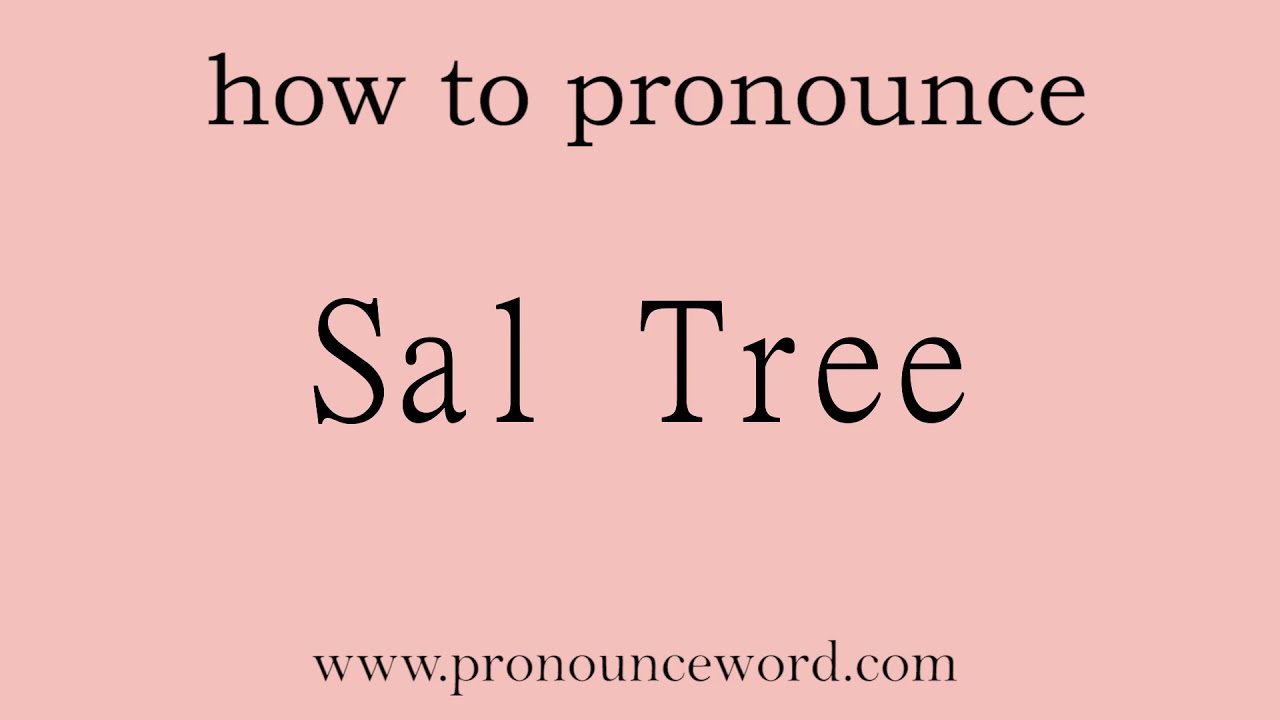 Sal Tree. How to pronounce the english word Sal Tree .Start with S ...