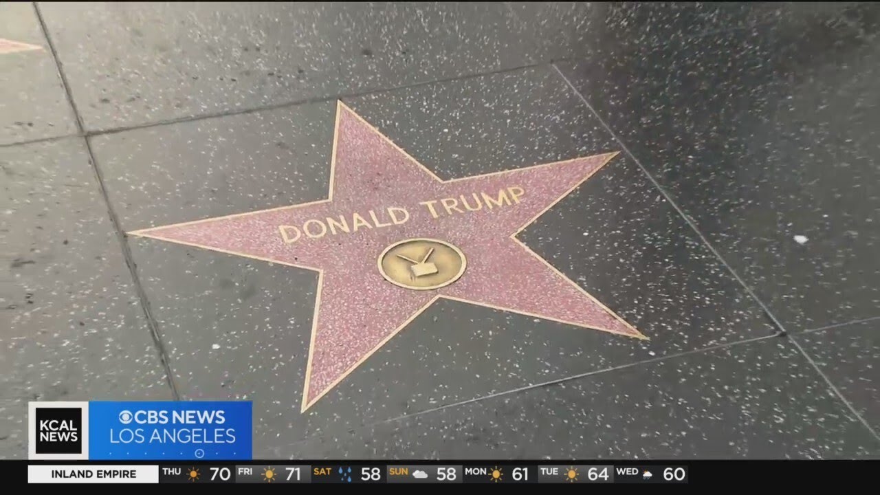 Thousands call for Hollywood to remove Donald Trump's star from the ...