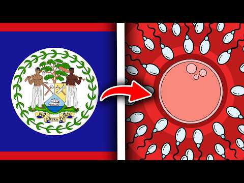 ALL Flags Before Their Birth | Compilation
