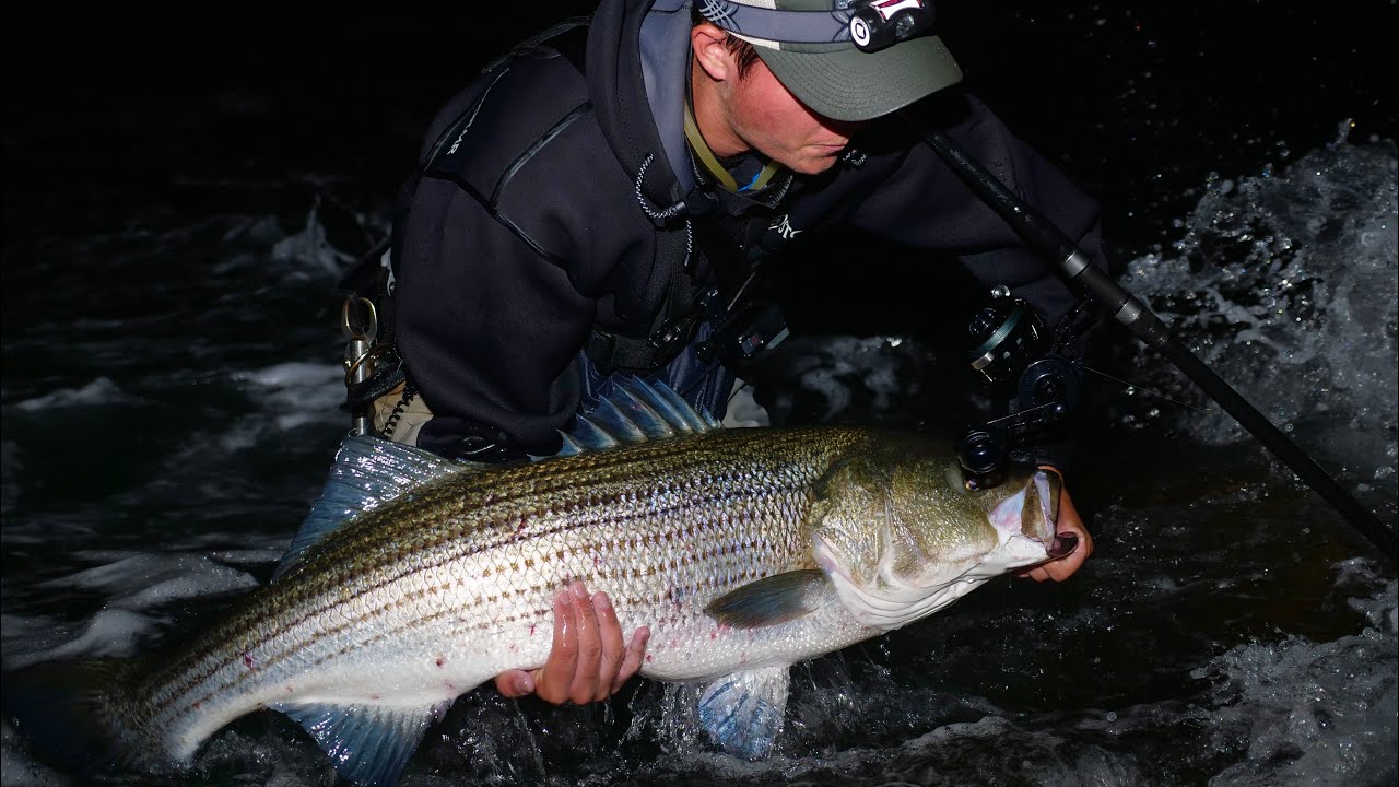 How To Eel For Monster Striped Bass - YouTube