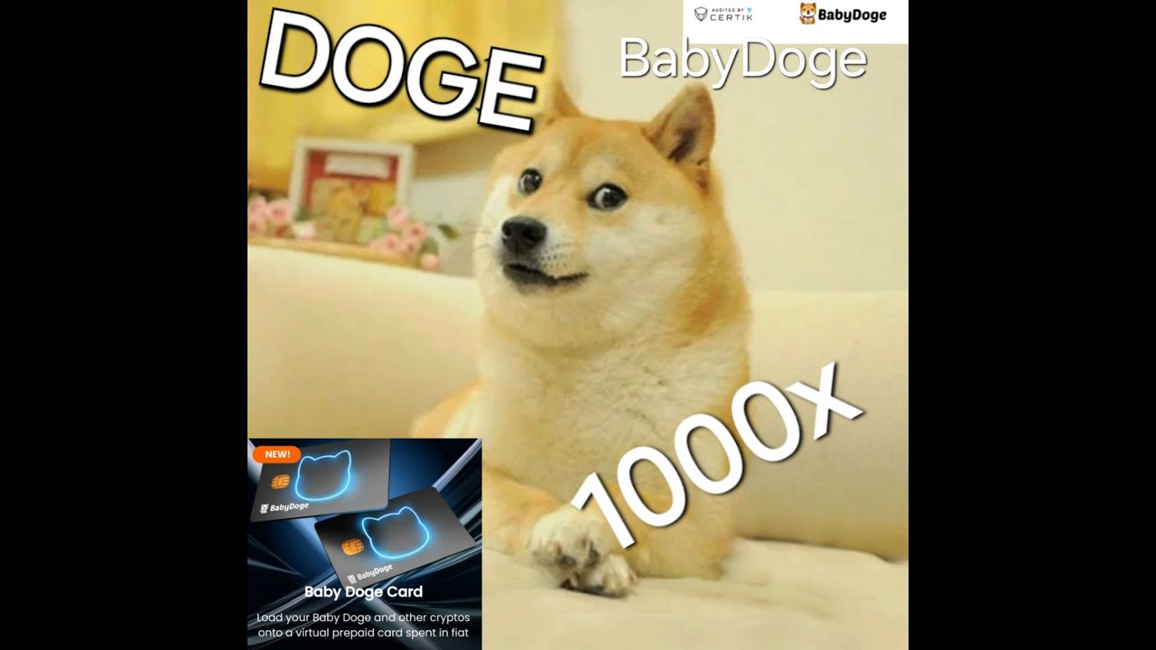 BABYDOGE сделает DOGE - YouTube